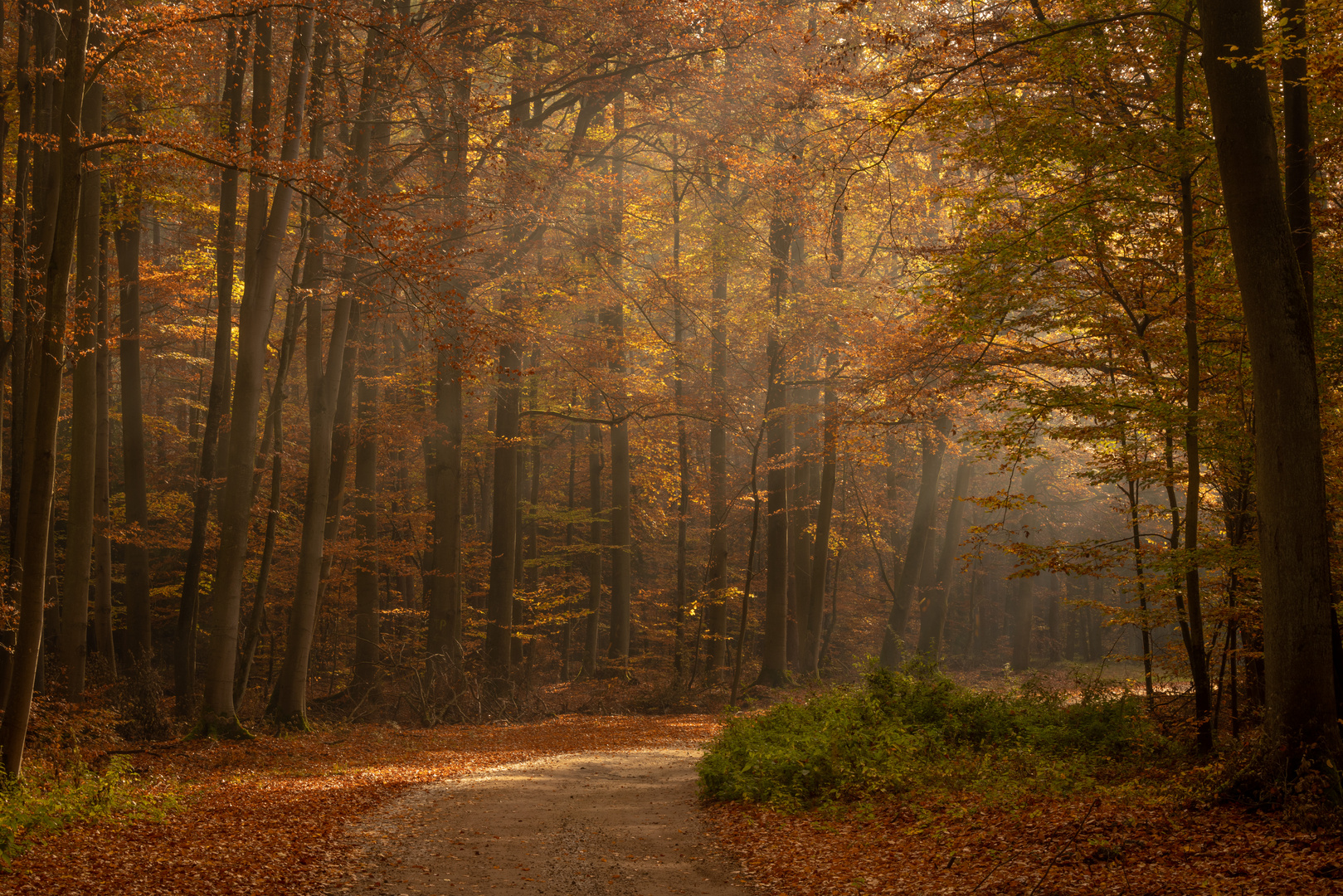 Herbstfarben 2 Foto & Bild | landschaft, jahreszeiten, herbst Bilder auf fotocommunity