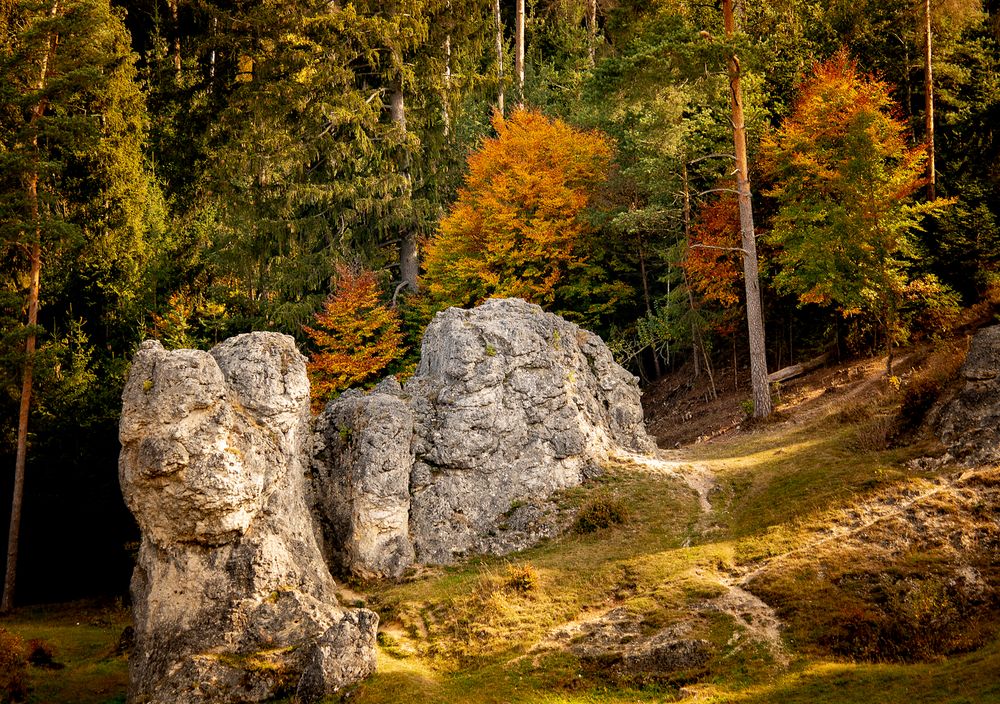 Herbstfarben 2 Foto & Bild | landschaft, jahreszeiten, herbst Bilder auf fotocommunity