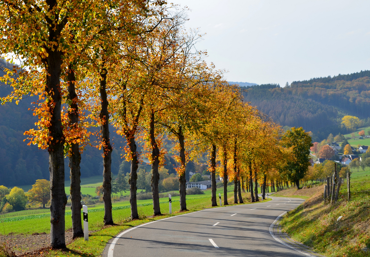 Herbstfarben Foto & Bild | landschaft, jahreszeiten, herbst Bilder auf fotocommunity