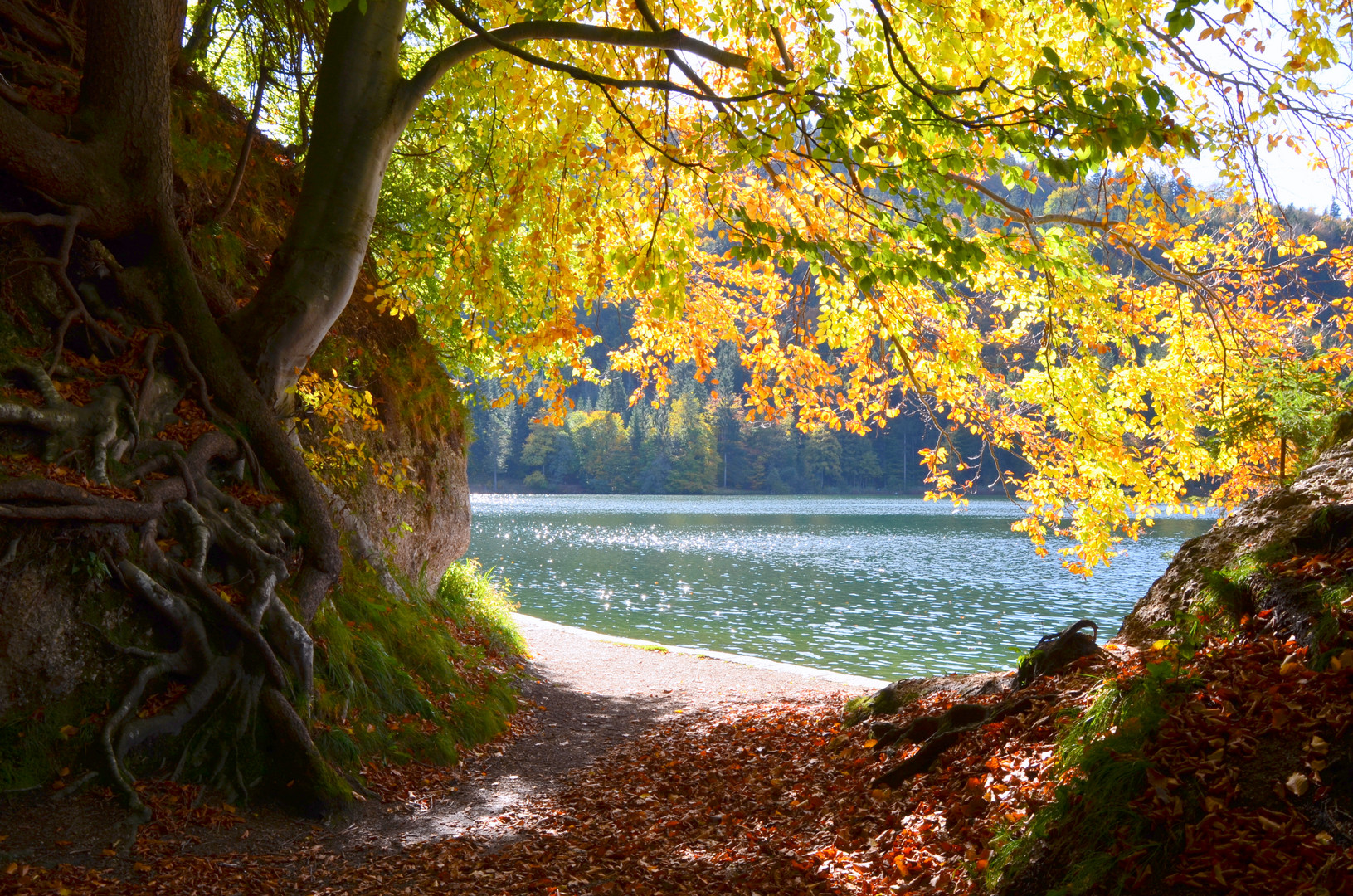 Herbstfarben ! Foto & Bild | jahreszeiten, herbst, landschaft Bilder auf fotocommunity