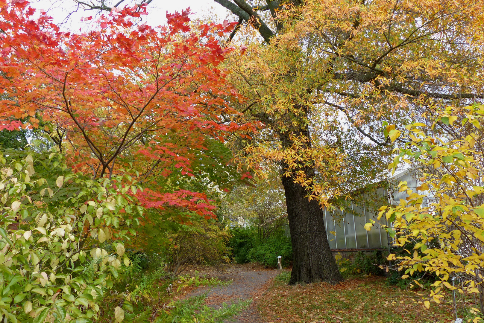 Herbstfarben Foto & Bild | landschaft, jahreszeiten, herbst Bilder auf fotocommunity