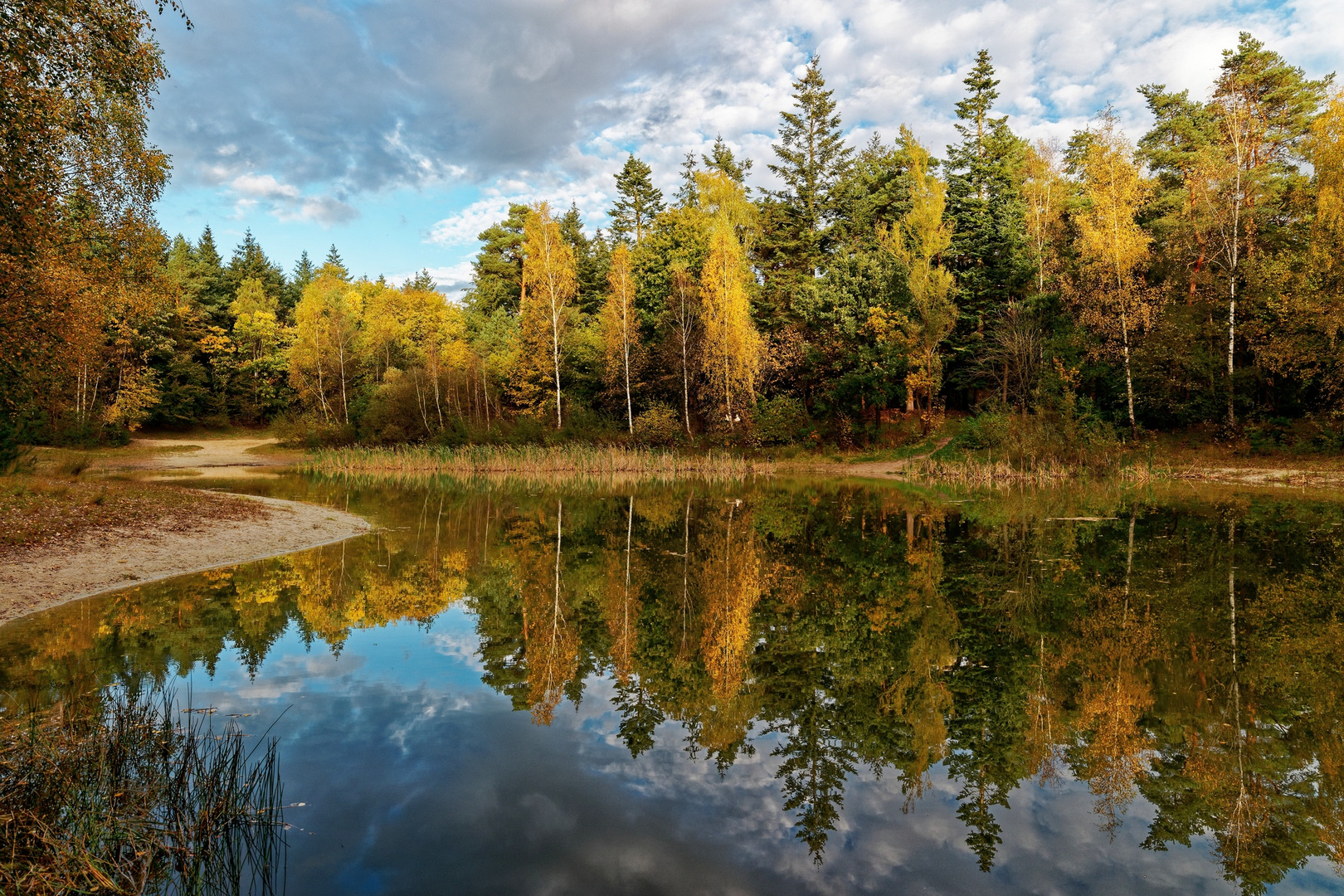 Herbstfarben am und im Waldsee..... Foto & Bild | landschaft, jahreszeiten, herbst Bilder auf ...