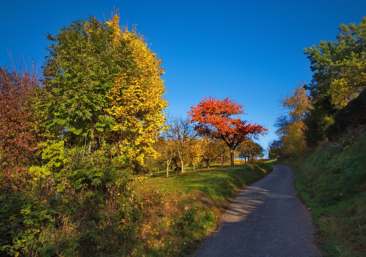 Herbstfarben.... Foto & Bild | jahreszeiten, herbst, landschaft Bilder auf fotocommunity