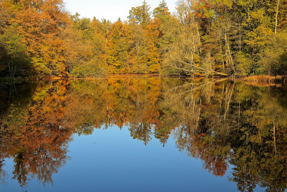 Herbstfarben... Foto & Bild | landschaft, jahreszeiten, herbst Bilder auf fotocommunity