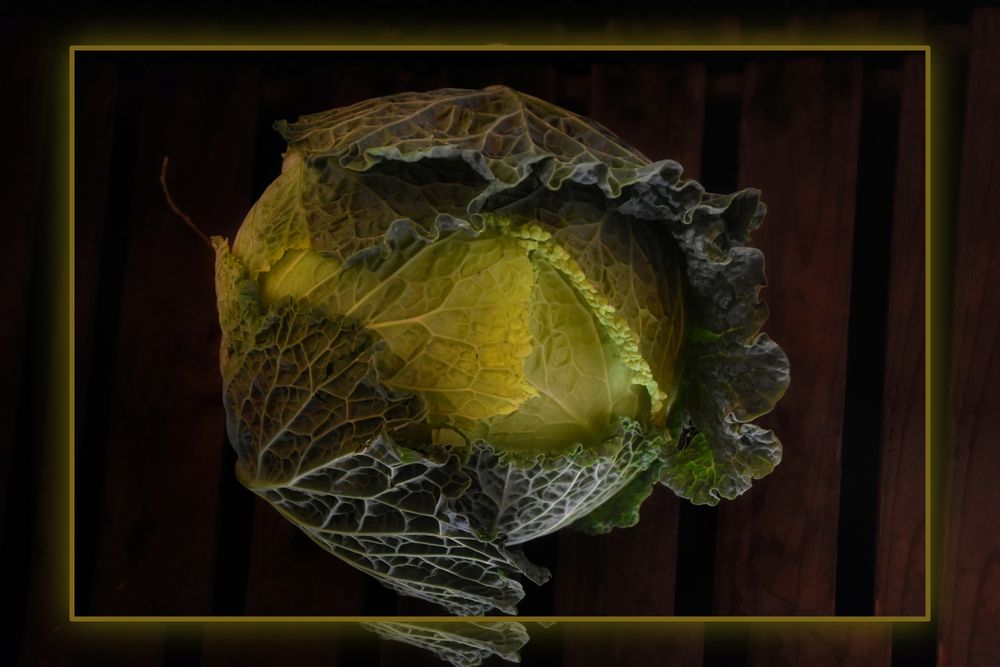 Herbstgemüse: Wirsingkohl Foto & Bild | stillleben, food-fotografie, obst & gemüse Bilder auf ...