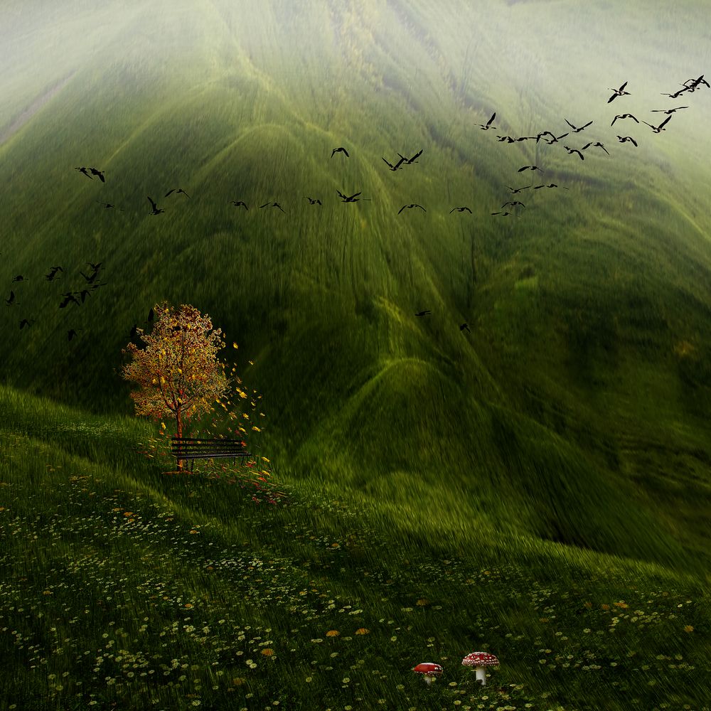 Herbstgrün Foto & Bild | fotomontage, fantasy mystery, surreal Bilder auf fotocommunity