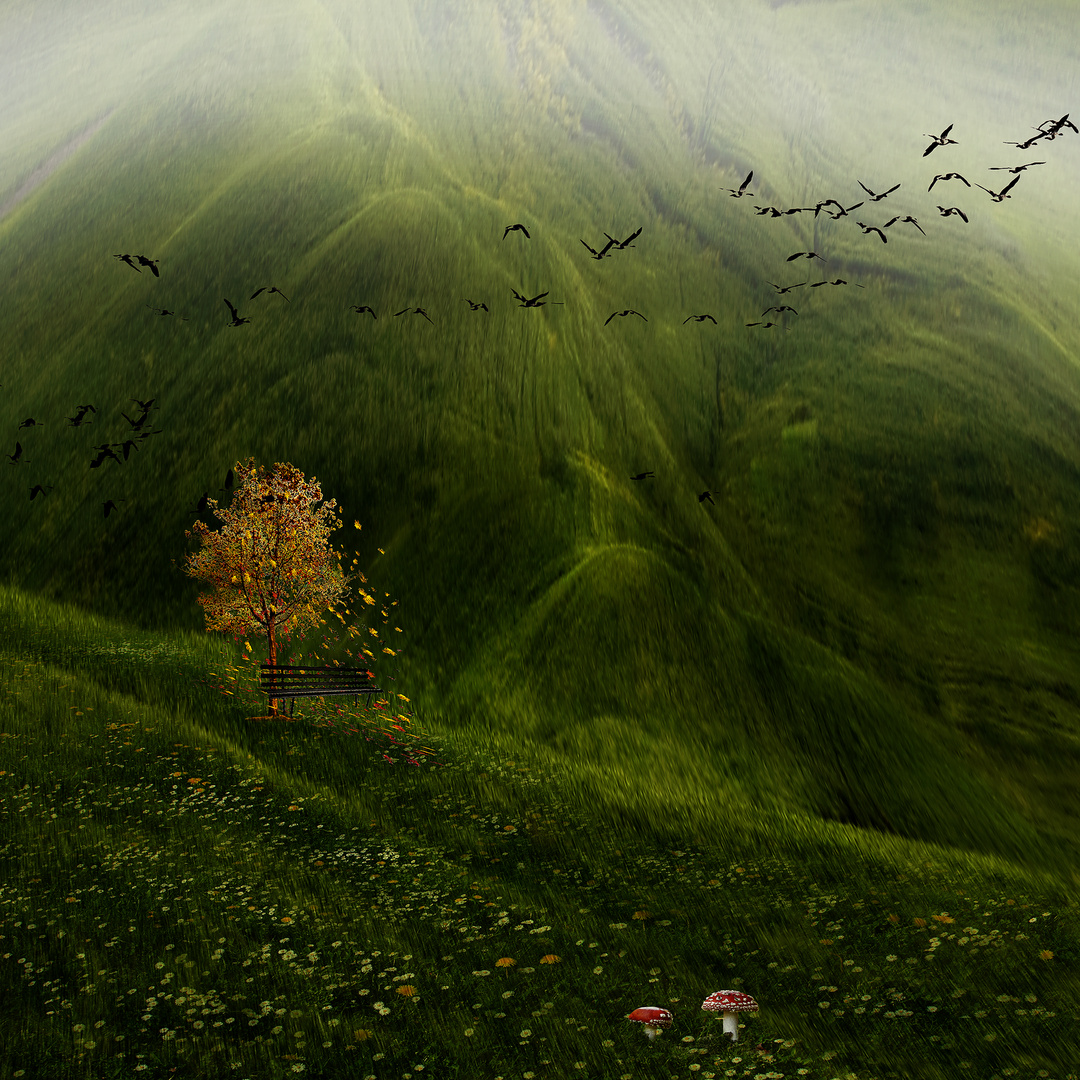 Herbstgrün Foto & Bild | fotomontage, fantasy mystery, surreal Bilder auf fotocommunity