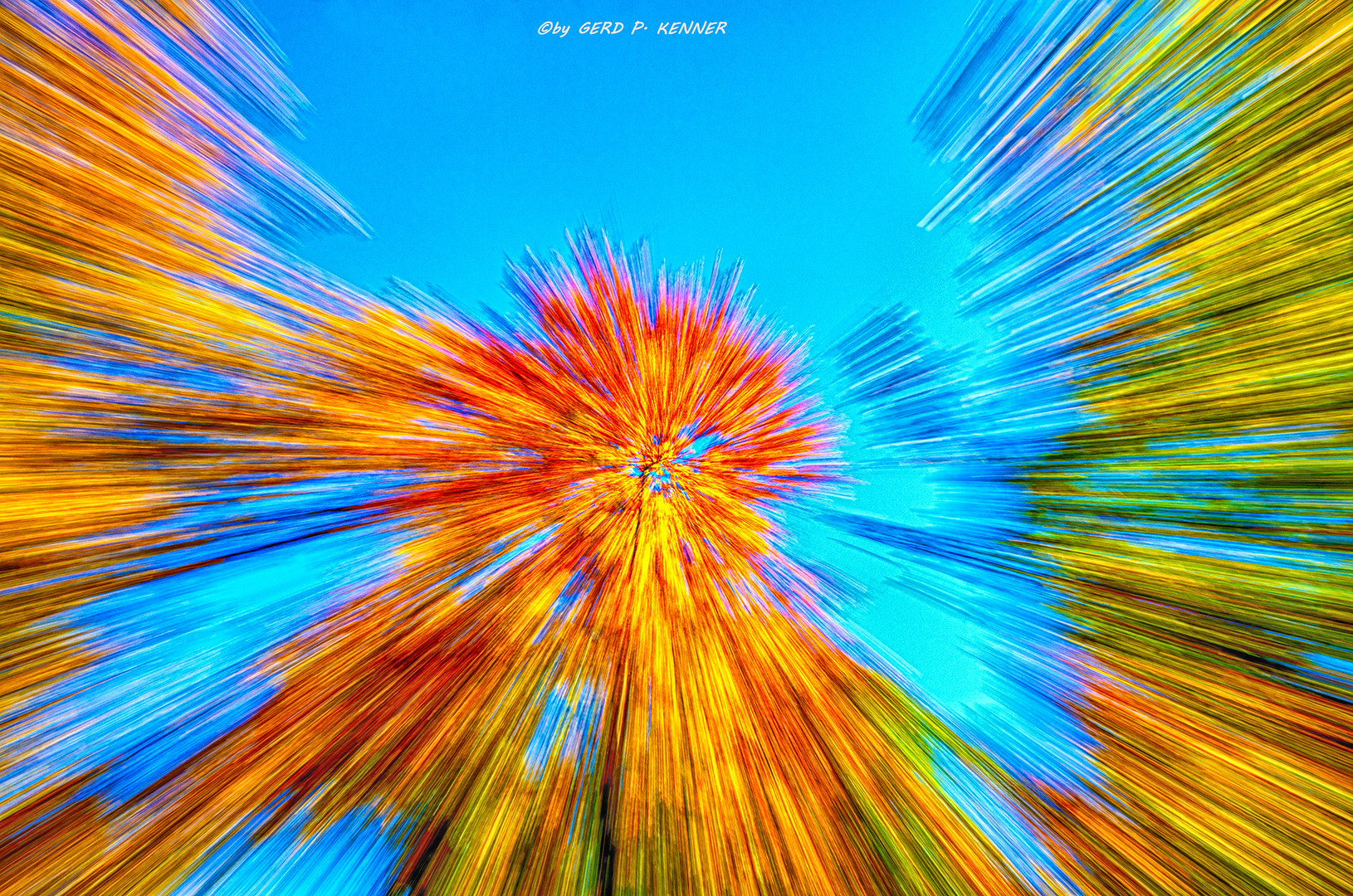 H.E.R.B.S.T_Impressionen Foto & Bild | fotokunst, natur-kreativ ...