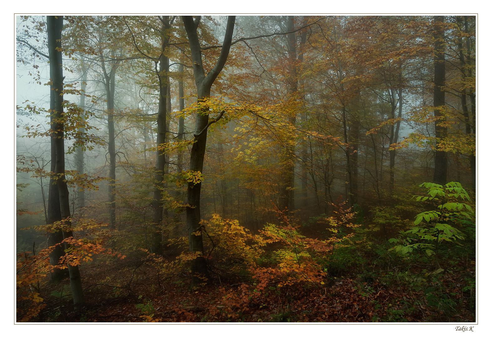 Herbstlich Foto & Bild | landschaft, jahreszeiten, herbst Bilder auf fotocommunity