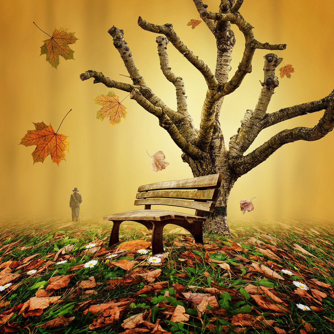 herbstlich Foto & Bild | fotomontage, fantasy mystery, surreal Bilder auf fotocommunity