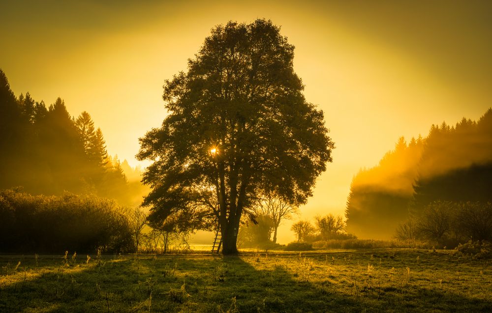 Herbstlich... Foto & Bild | landschaft, jahreszeiten, herbst Bilder auf fotocommunity