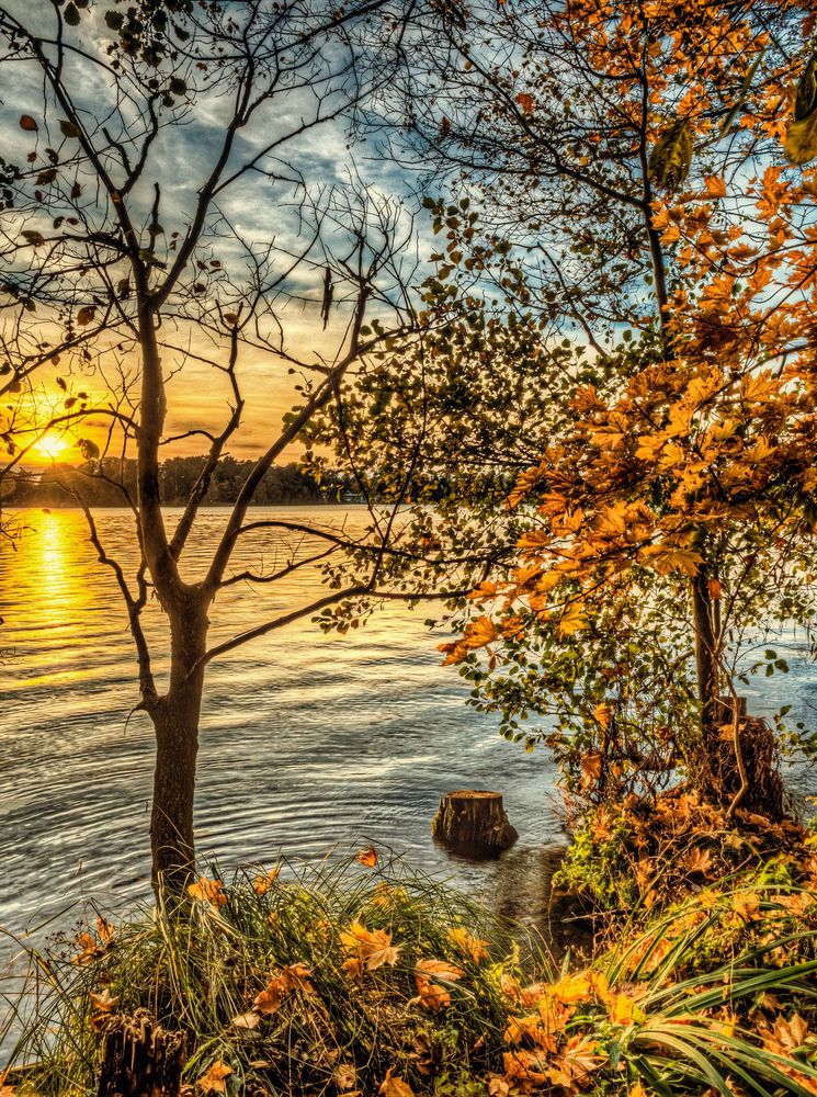 Herbstliche Färbung am See Foto & Bild | landschaft, jahreszeiten, herbst Bilder auf fotocommunity