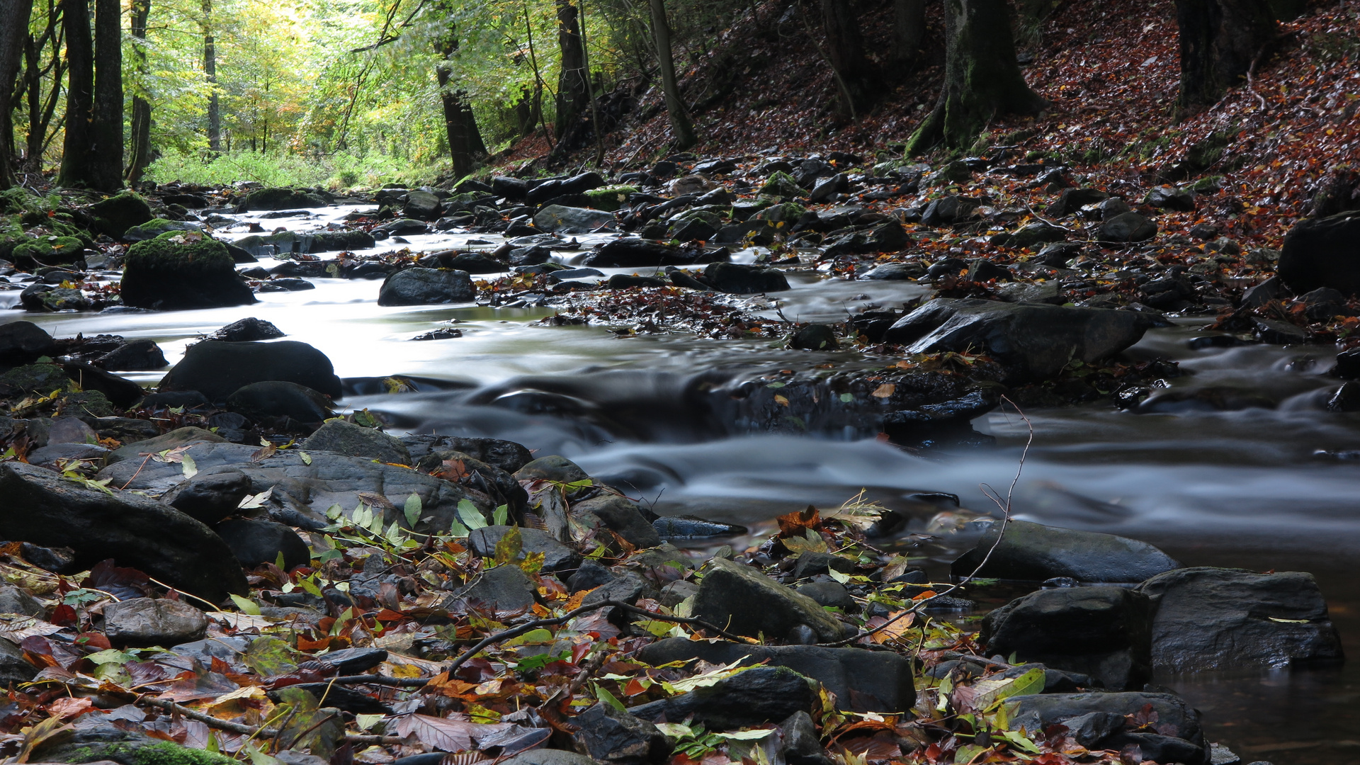 Herbstliche im Kalltal Foto & Bild | techniken, aufnahme-techniken ...