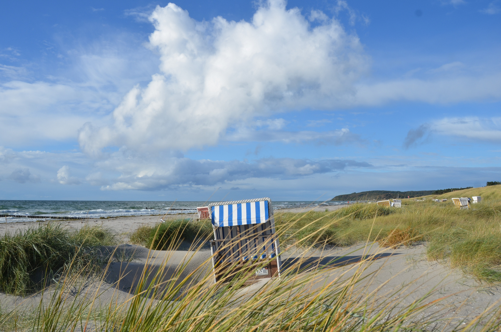 Herbstliche Insel Hiddensee Foto & Bild | deutschland, europe ...