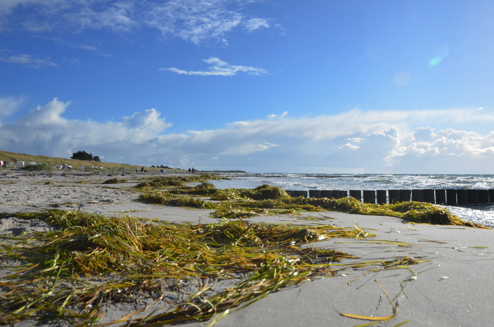 Herbstliche Insel Hiddensee Foto & Bild | deutschland, europe ...