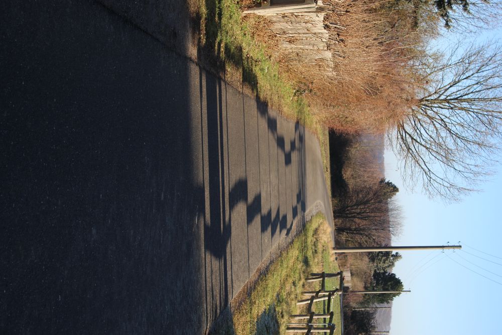 herbstliche Schatten verzerren den Weg Foto & Bild | landschaften ...