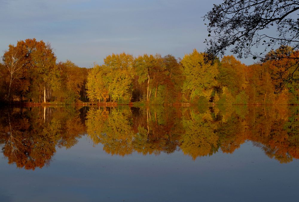 herbstliche Spiegelung Foto & Bild | landschaft, jahreszeiten, herbst Bilder auf fotocommunity