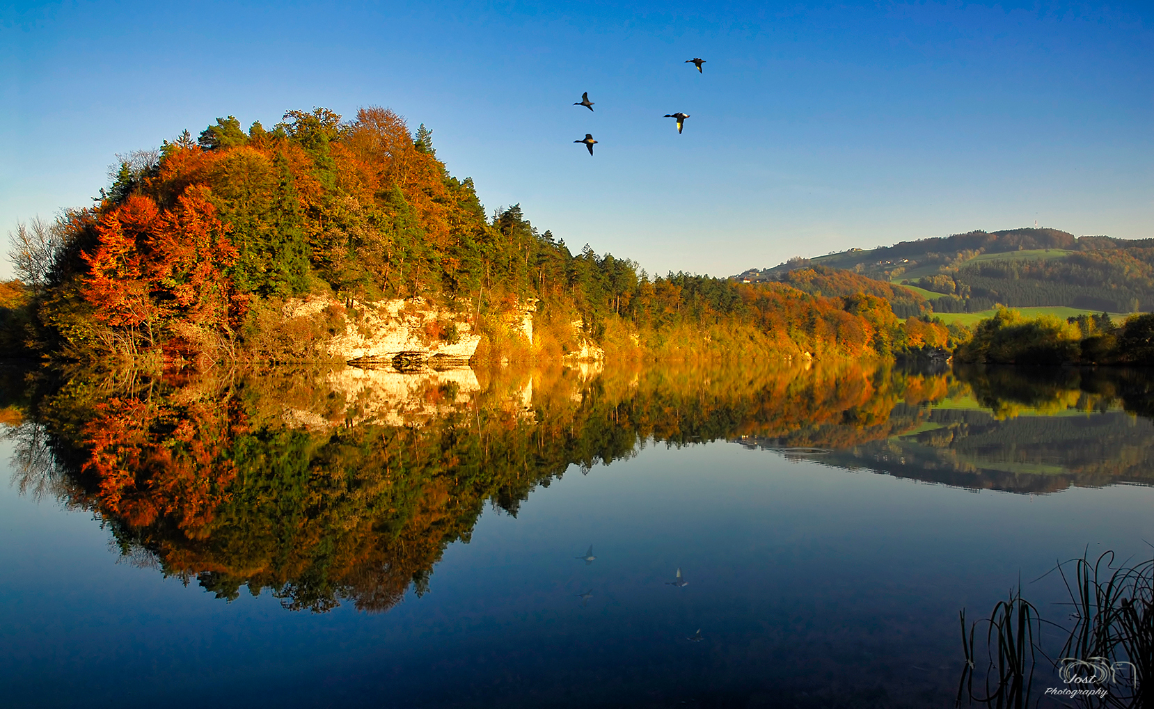 Herbstliche Spiegelung ... Foto & Bild | fotos, wald, landschaften Bilder auf fotocommunity