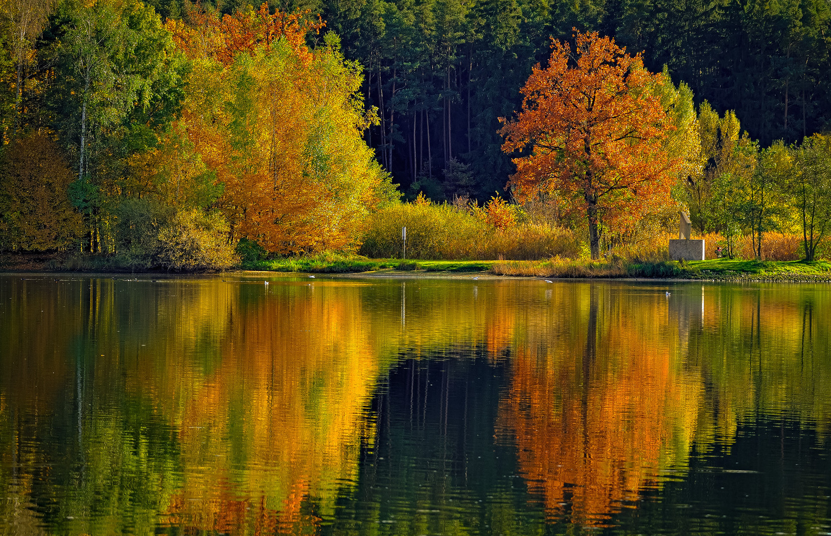Herbstliche Spiegelungen Foto & Bild | landschaft, bach, fluss & see, herbst Bilder auf ...