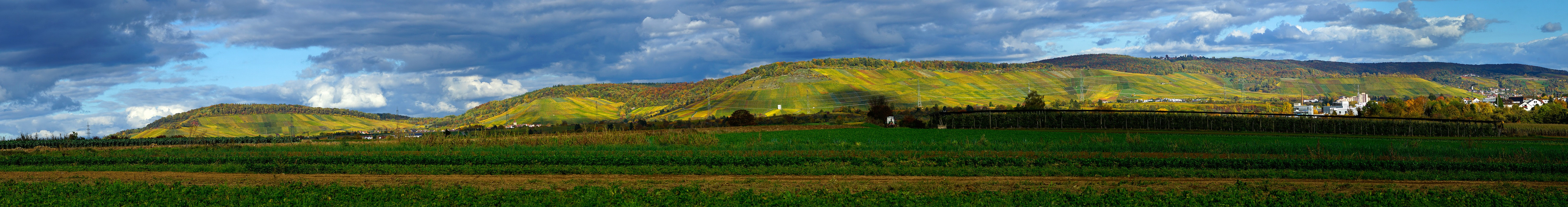 Herbstliche Weinberge vorderes Remstal Foto & Bild | world, natur ...