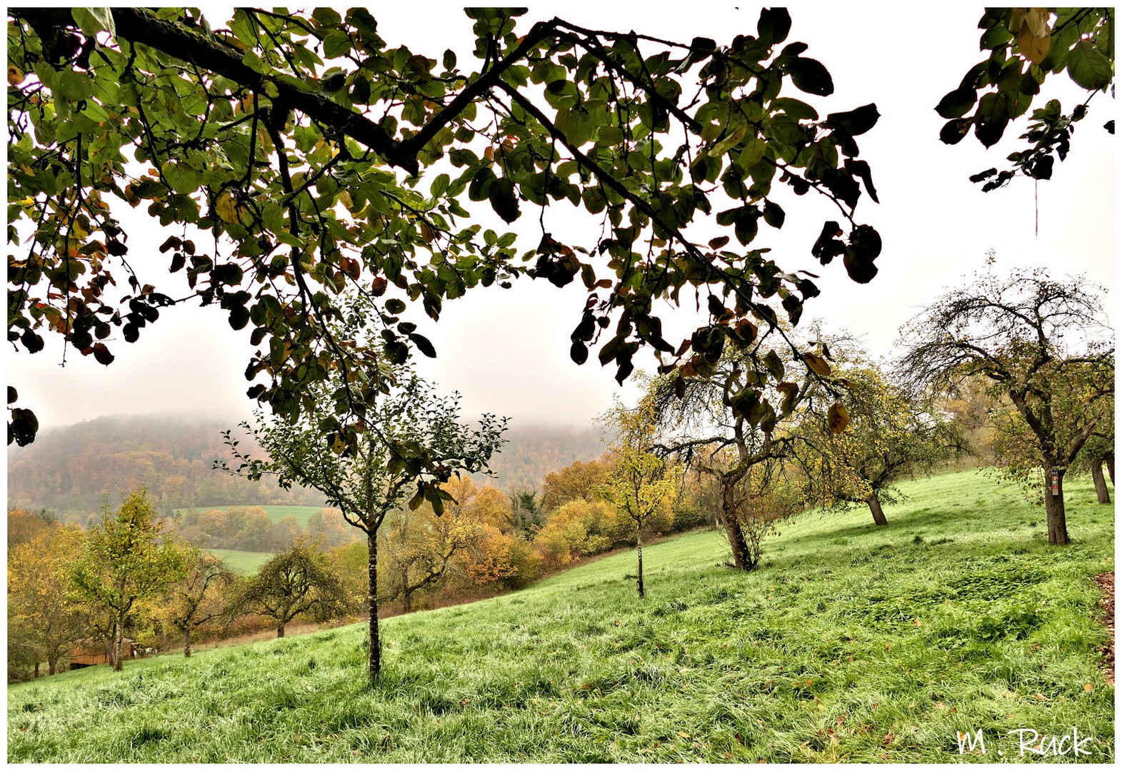 Herbstlicher Blick ins Tal Foto & Bild | natur-kreativ, bäume, himmel Bilder auf fotocommunity