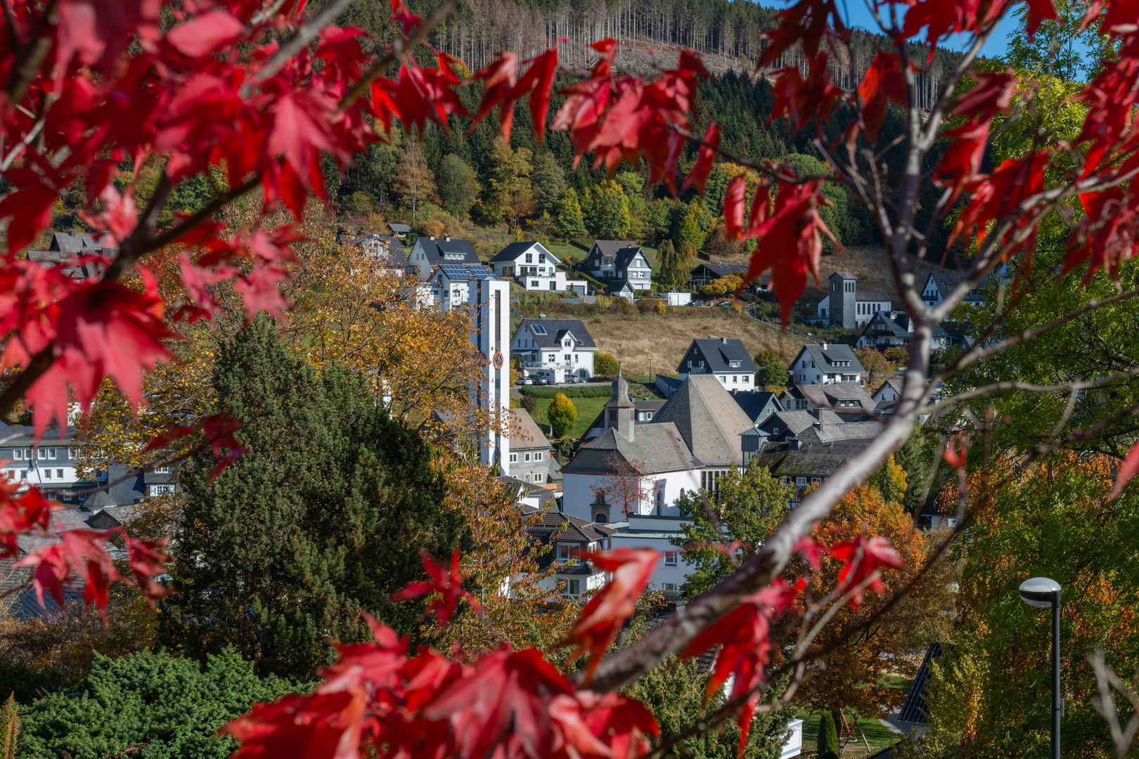Herbstlicher Durchblick... Foto & Bild | deutschland, europe, nordrhein- westfalen Bilder auf ...