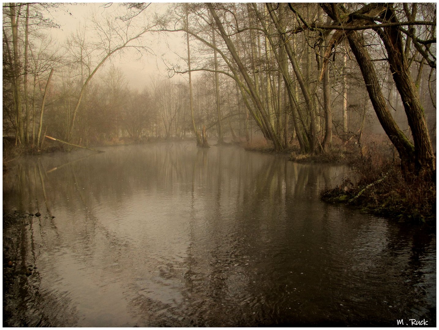 Herbstliches 102. Foto & Bild | landschaft, bäume, natur Bilder auf ...