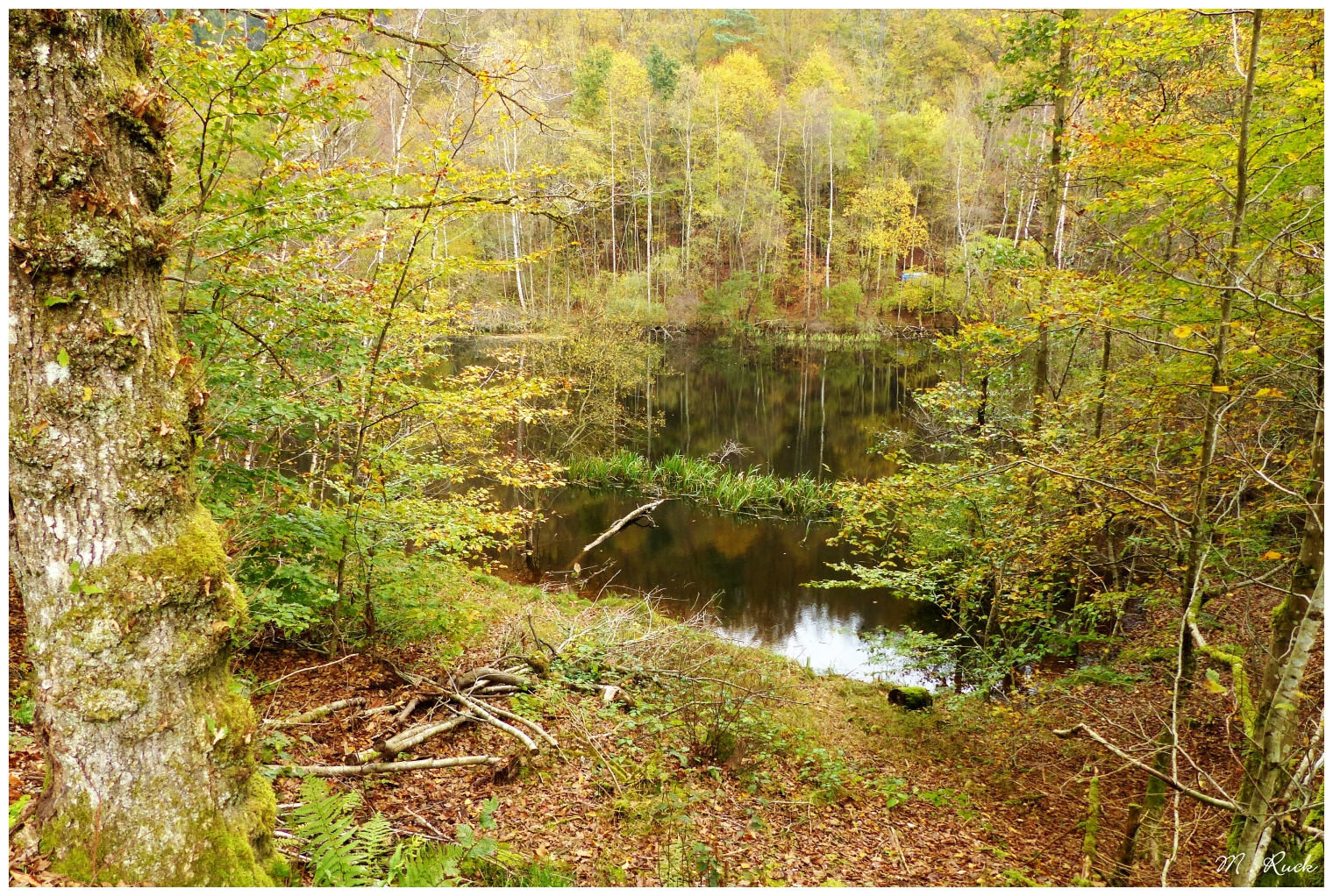 Herbstliches 24 Foto & Bild | landschaft, lebensräume, natur Bilder auf ...