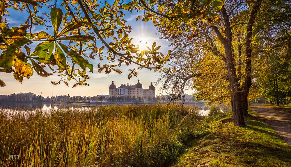 Herbstliches Schloss Moritzburg Foto & Bild | jahreszeiten, herbst, dresden Bilder auf fotocommunity
