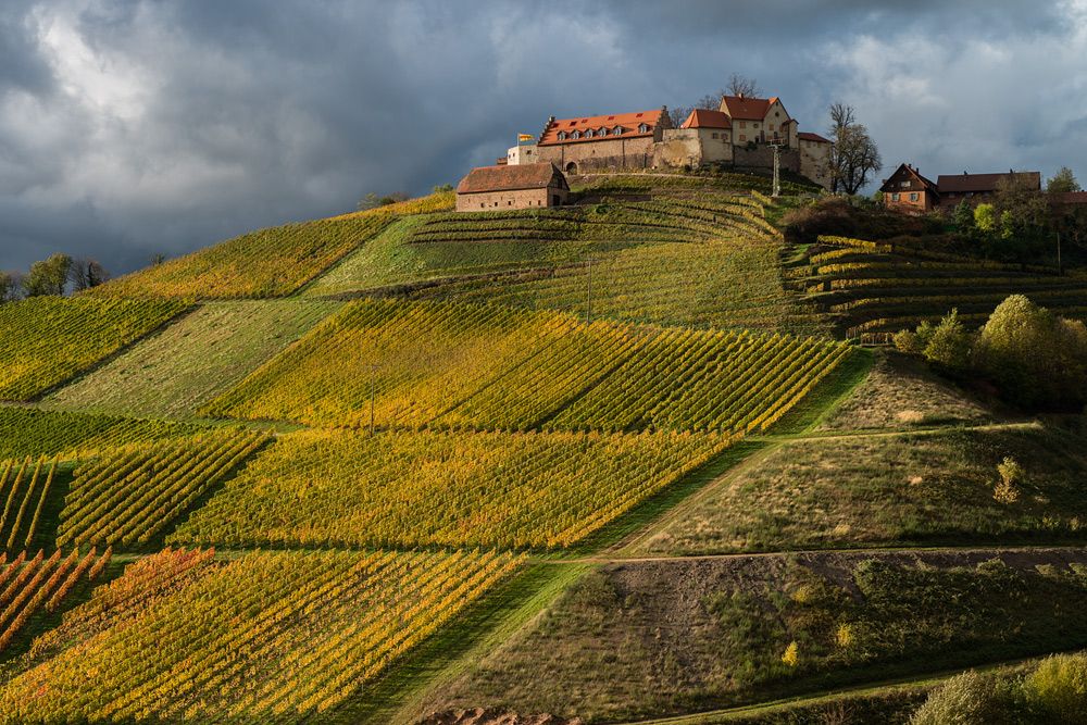 Herbstliches Schloss Staufenberg (Durbach) Foto & Bild | deutschland ...
