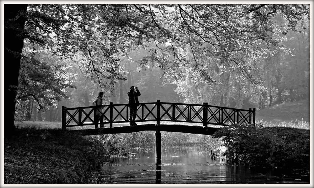 herbst.licht.sehen Foto & Bild | monochrom, bearbeitungs - techniken, stadtansichten Bilder auf ...