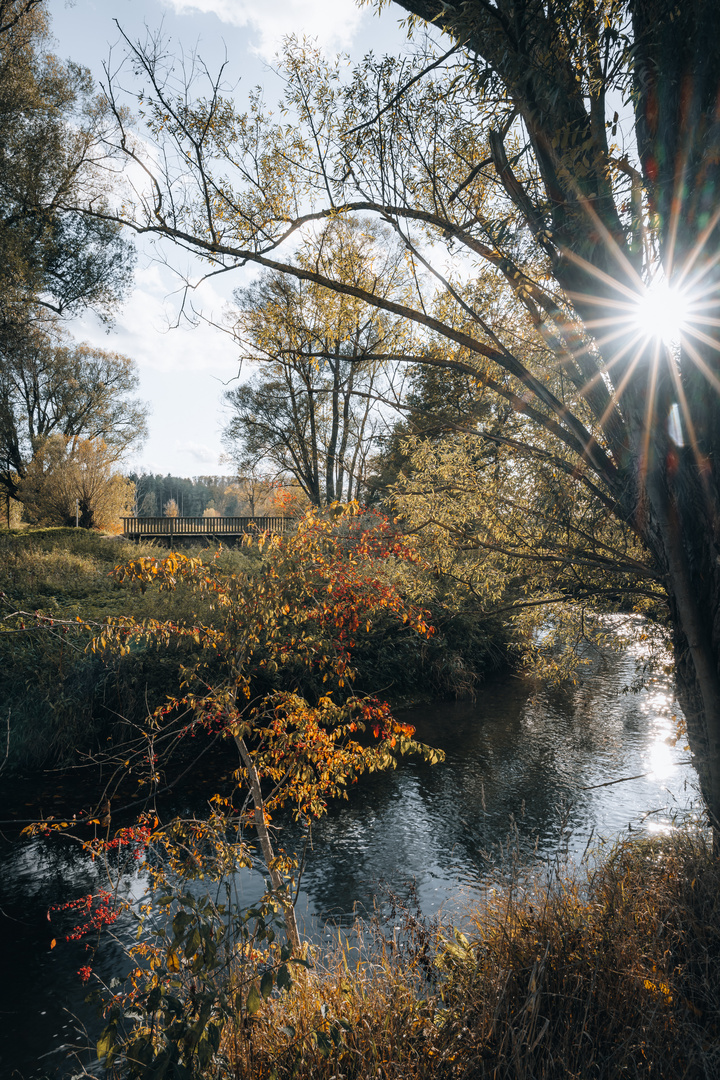 Herbstmoment Foto & Bild | landschaft, jahreszeiten, herbst Bilder auf fotocommunity