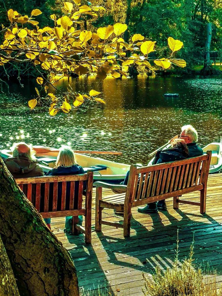 Herbstmoment Foto & Bild | landschaft, jahreszeiten, herbst Bilder auf fotocommunity