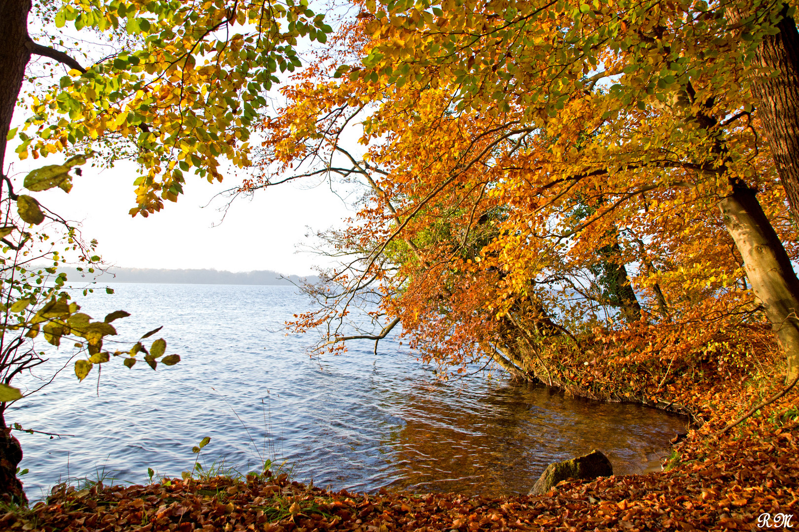 Herbstnachmittag am See Foto & Bild | jahreszeiten, herbst, natur ...