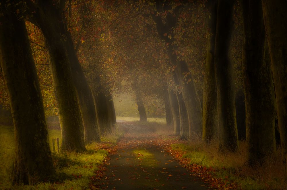 Herbstromantik Foto & Bild | landschaft, jahreszeiten, herbst Bilder auf fotocommunity