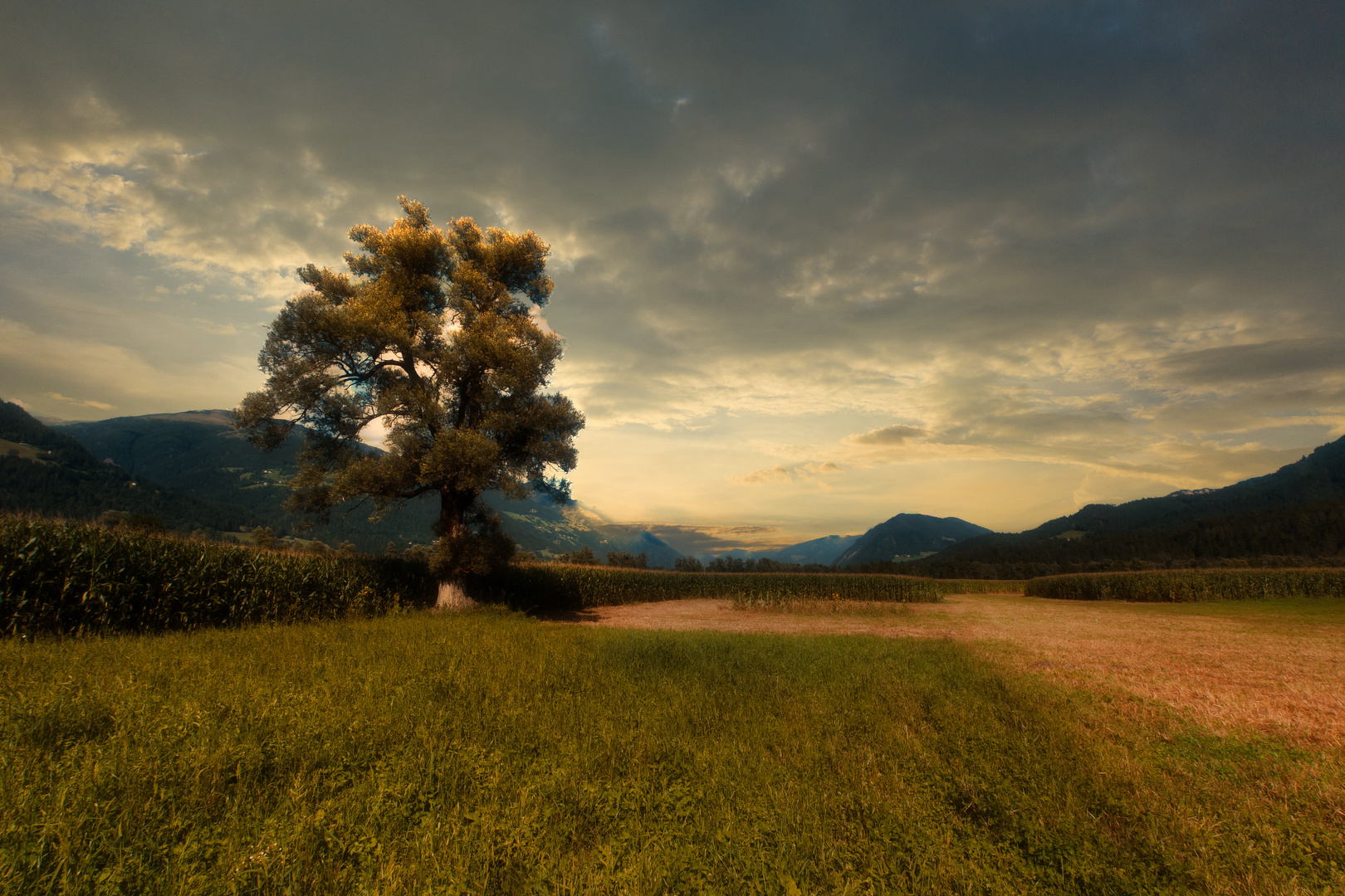 Herbstruhe Foto & Bild | fotomontage, landschaften, natur Bilder auf fotocommunity