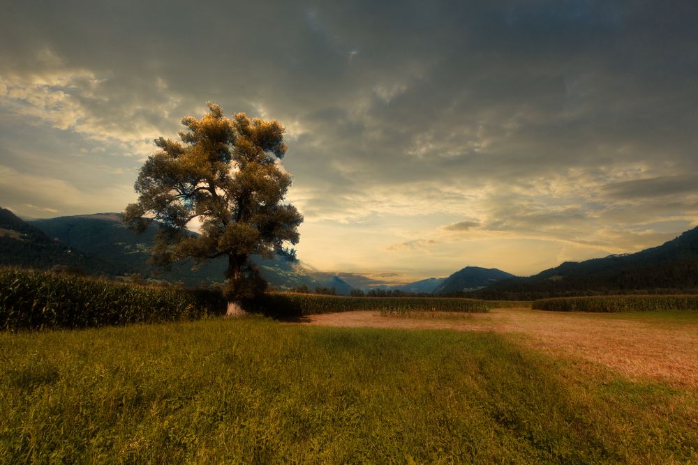 Herbstruhe Foto & Bild | fotomontage, landschaften, natur Bilder auf fotocommunity