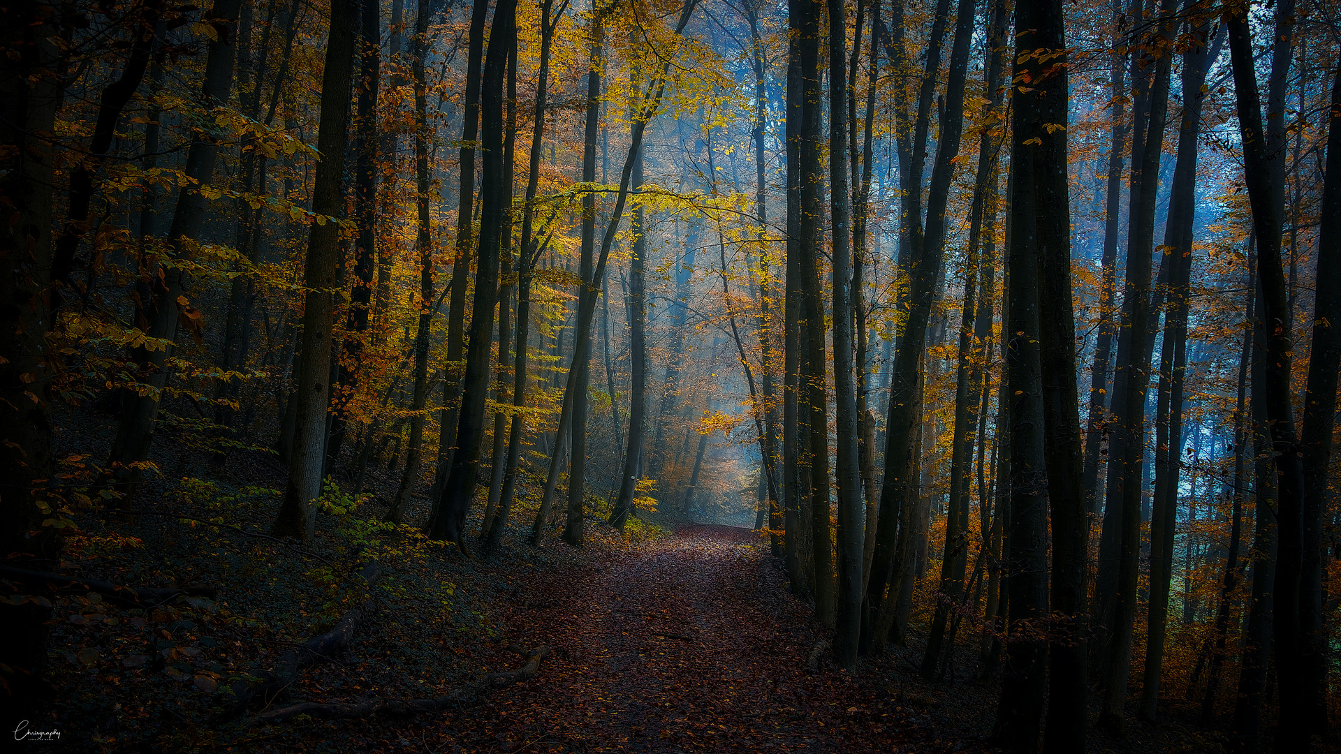 Herbstspaziergang Foto & Bild | landschaft, jahreszeiten, herbst Bilder auf fotocommunity