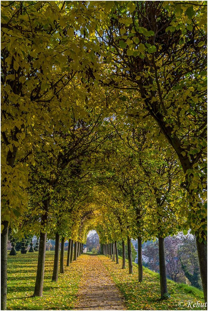 Herbstspaziergang (3) Laub(en)gang Foto & Bild | jahreszeiten, herbst, natur Bilder auf ...