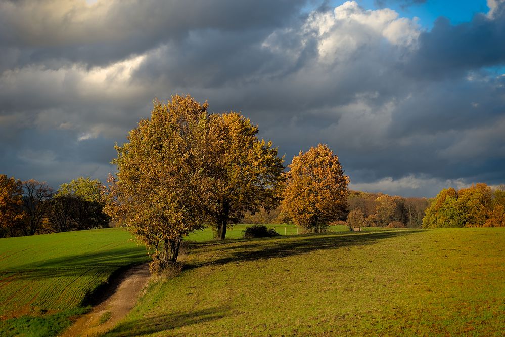 Herbstspaziergang Foto & Bild | landschaft, jahreszeiten, herbst Bilder auf fotocommunity