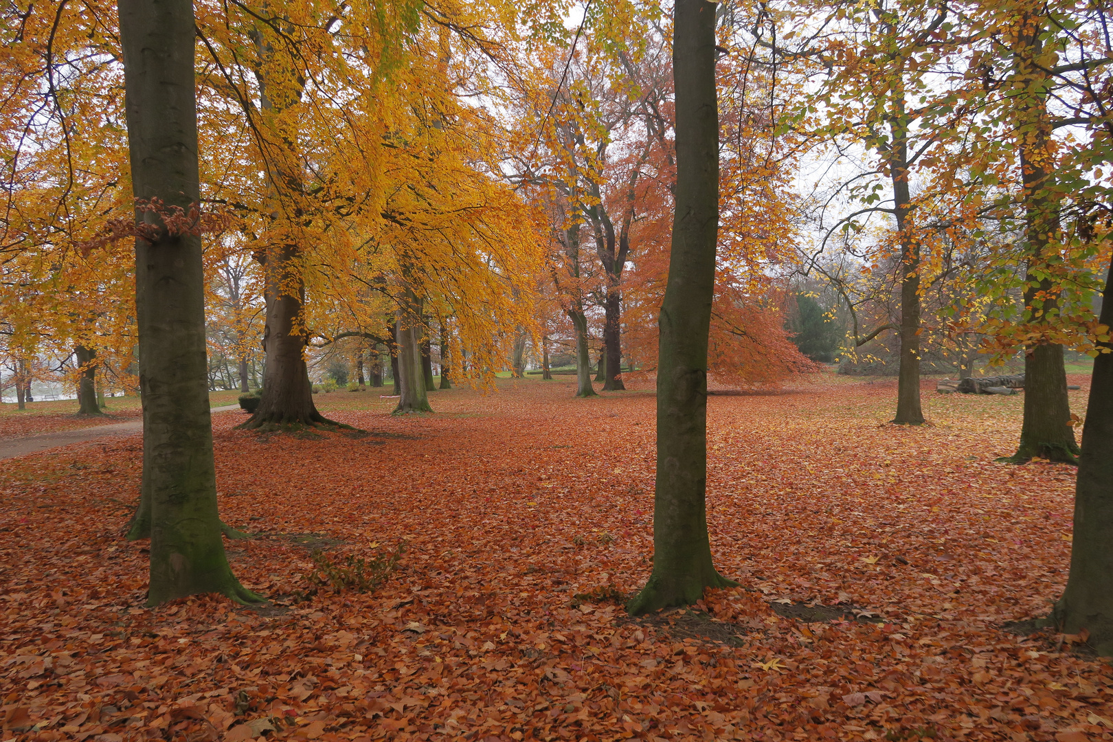 Herbstspaziergang Foto & Bild | park, outdoor, bäume Bilder auf fotocommunity