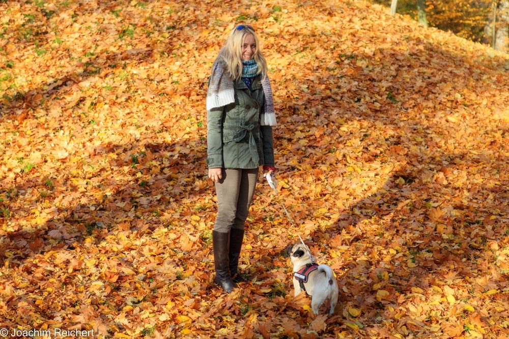 Herbstspaziergang Foto & Bild | landschaft, jahreszeiten, herbst Bilder auf fotocommunity