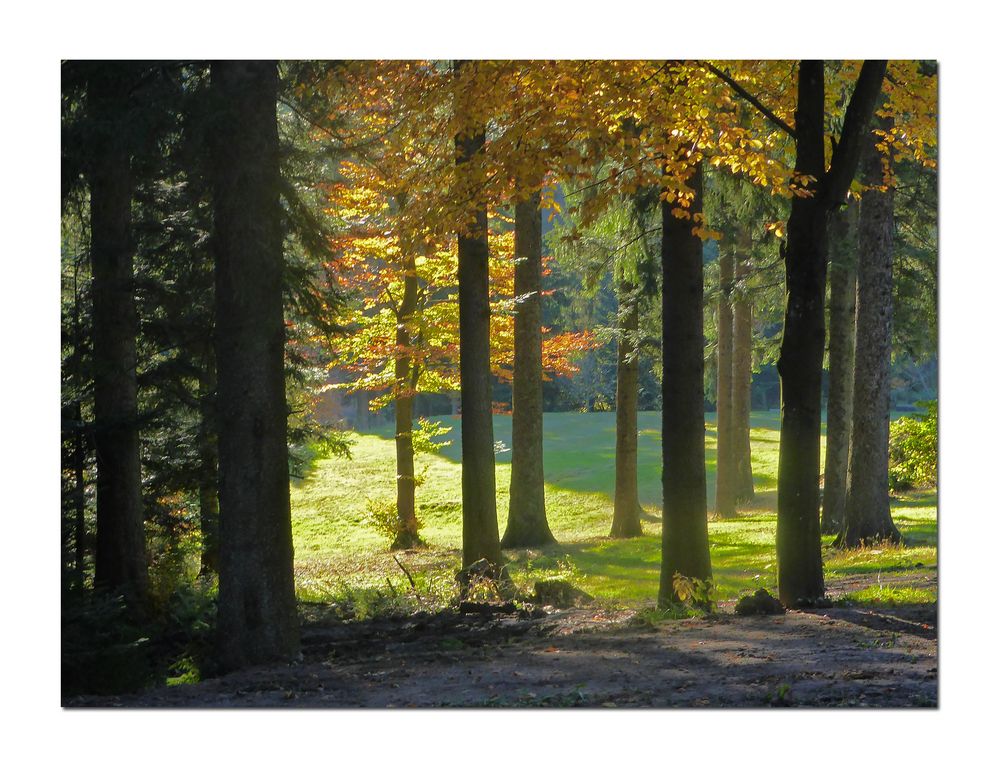 Herbstspaziergang Foto & Bild | jahreszeiten, herbst, natur Bilder auf fotocommunity