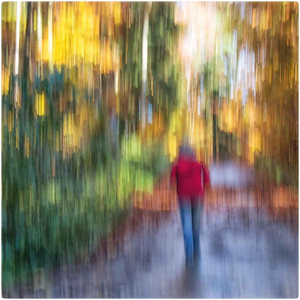 Herbstspaziergang .... Foto & Bild | jahreszeiten, herbst, projekte Bilder auf fotocommunity