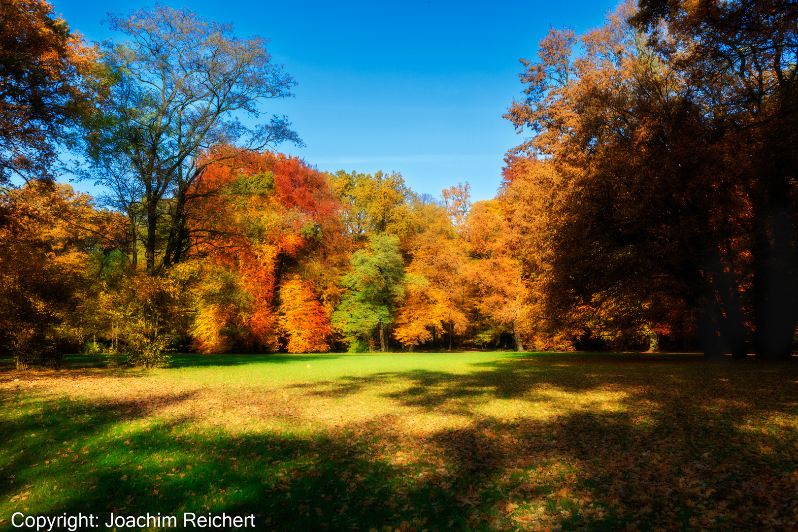 Herbstspaziergang mit meiner Kamera Foto & Bild | landschaft, jahreszeiten, herbst Bilder auf ...
