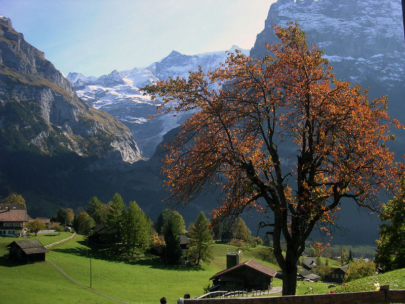 Herbststimmung Foto & Bild | landschaft, natur Bilder auf fotocommunity