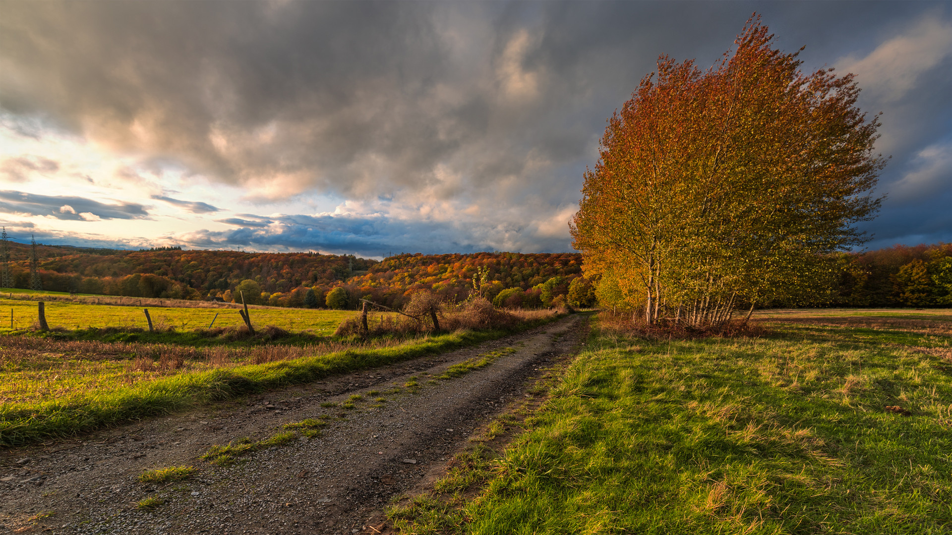 Herbststurm Foto & Bild | landschaft, jahreszeiten, herbst Bilder auf fotocommunity