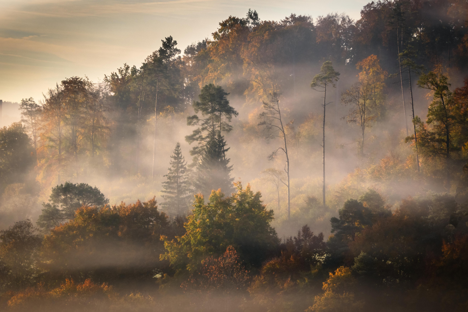 Herbstwald im Nebel Foto & Bild | landschaft, jahreszeiten, sonnenaufgang Bilder auf fotocommunity