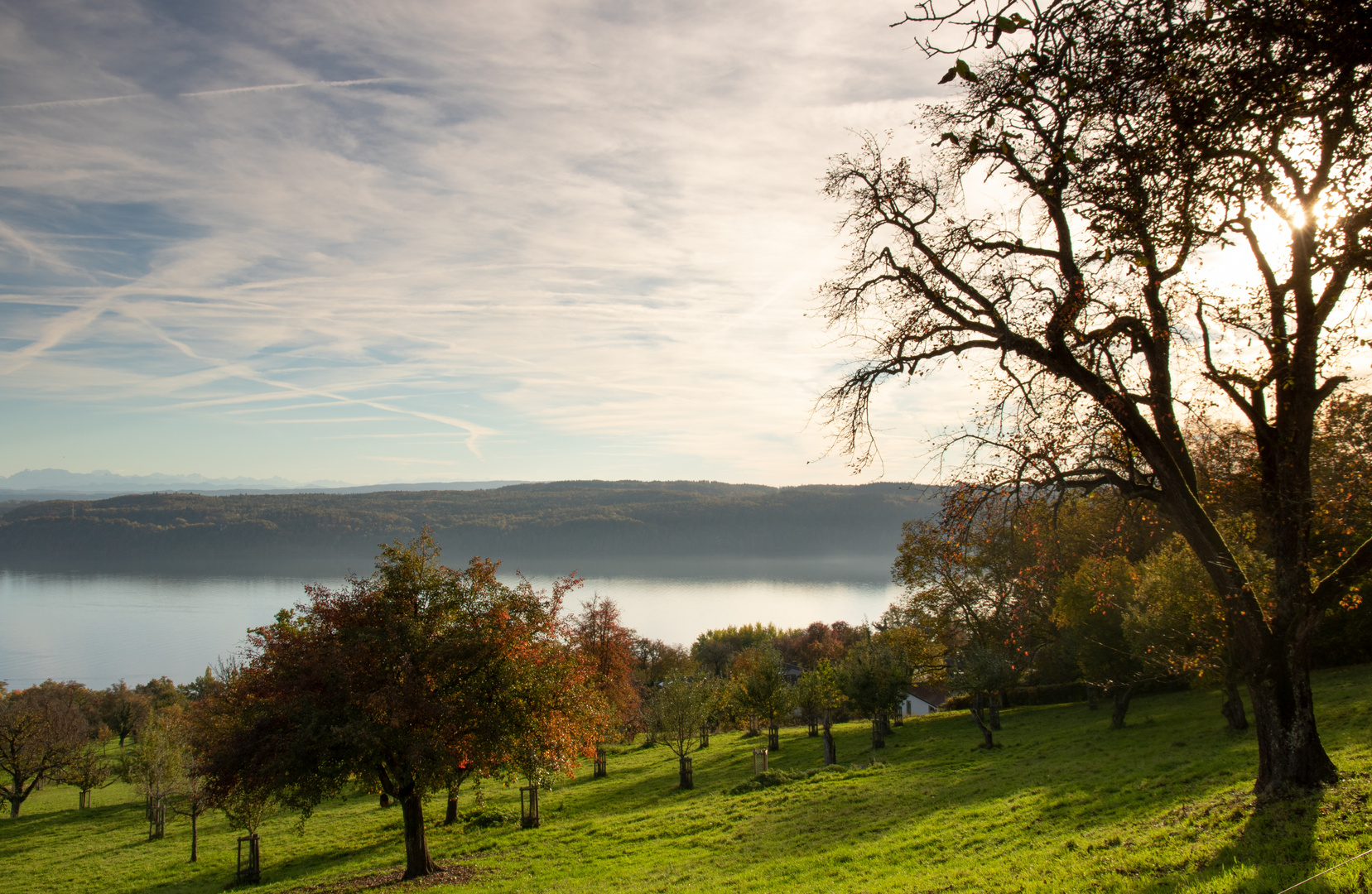 Herbstzeit am Bodensee Foto & Bild | jahreszeiten, herbst, bäume Bilder ...
