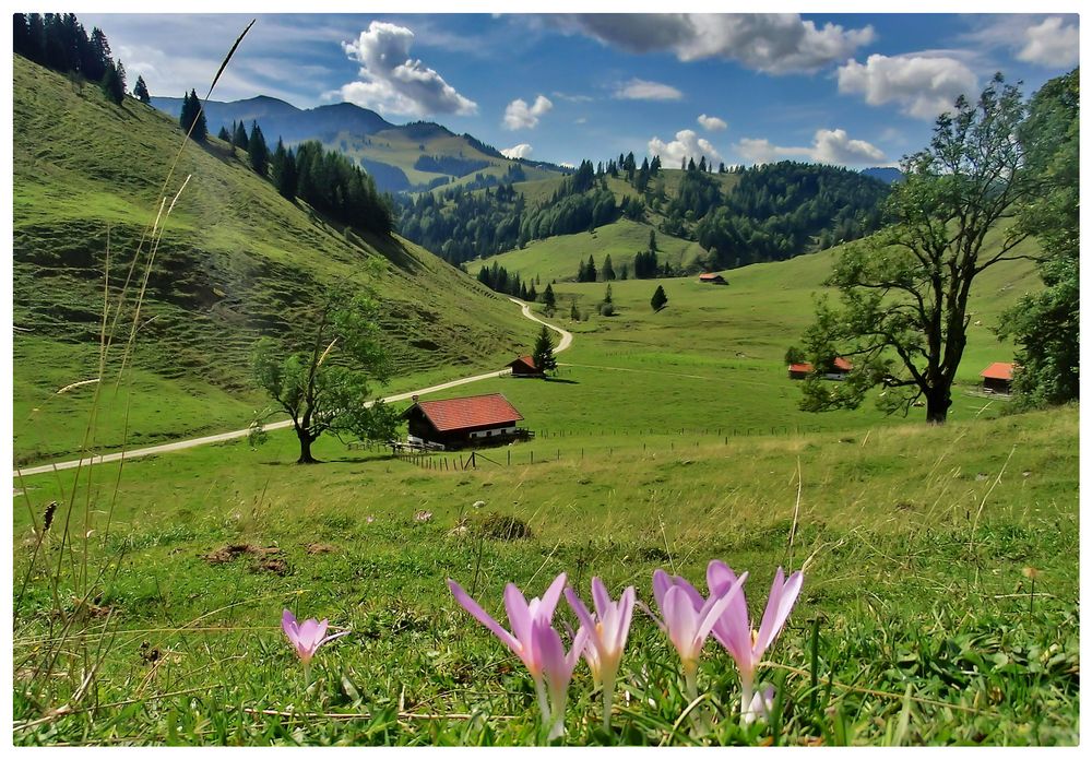 Herbstzeit(lose) Foto & Bild | landschaften, natur, landschaft Bilder ...